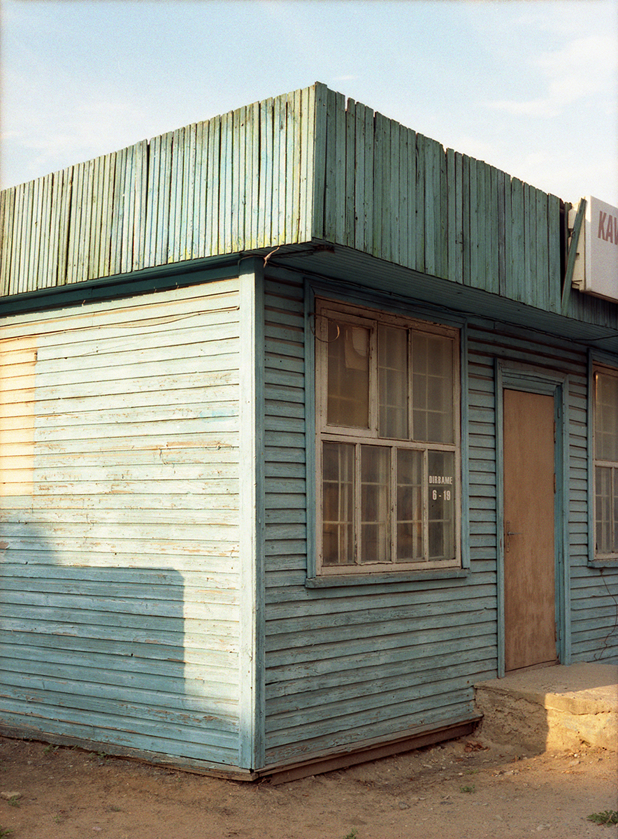 The Tree Which Has Been Struck 3 Times by Lightning : francesco lusa