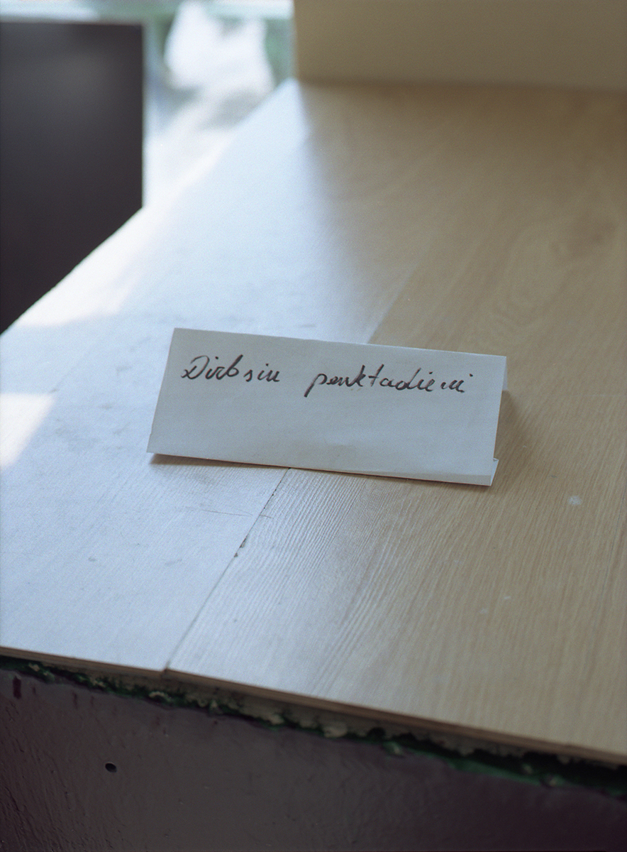 The Tree Which Has Been Struck 3 Times by Lightning : francesco lusa