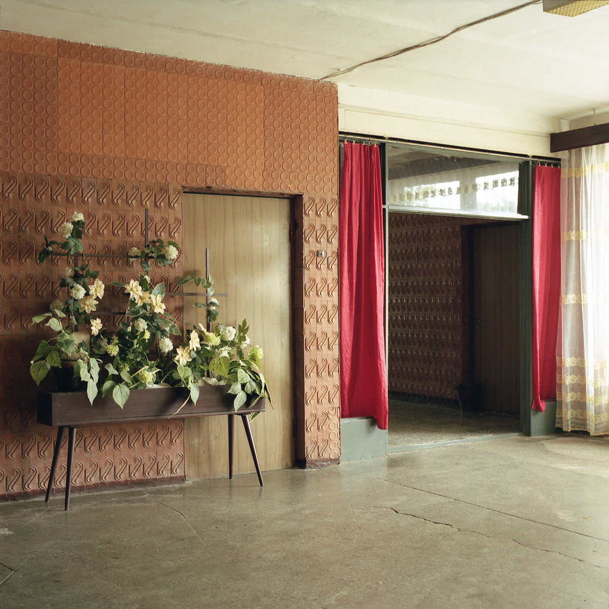 The Tree Which Has Been Struck 3 Times by Lightning : francesco lusa